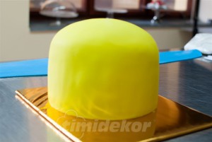 Mimoň dort – Timidekor
